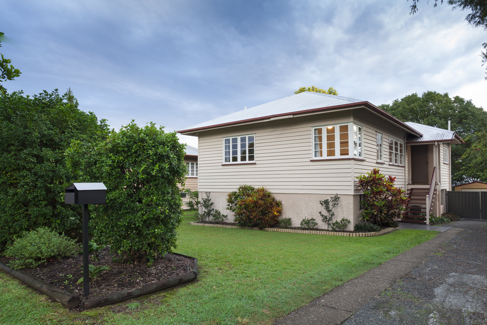 The Importance of Maintaining Your Trees During Wintertime in Brisbane ...